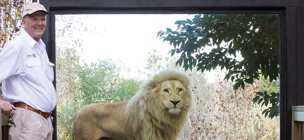 Richard Tindale, Owner Jamala Wildlife Lodge interview
