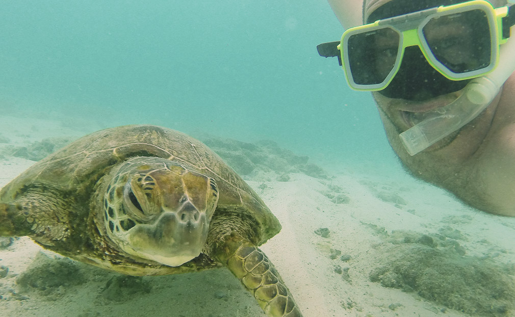 Michael Turtle, Time Travel Turtle: Ten Questions