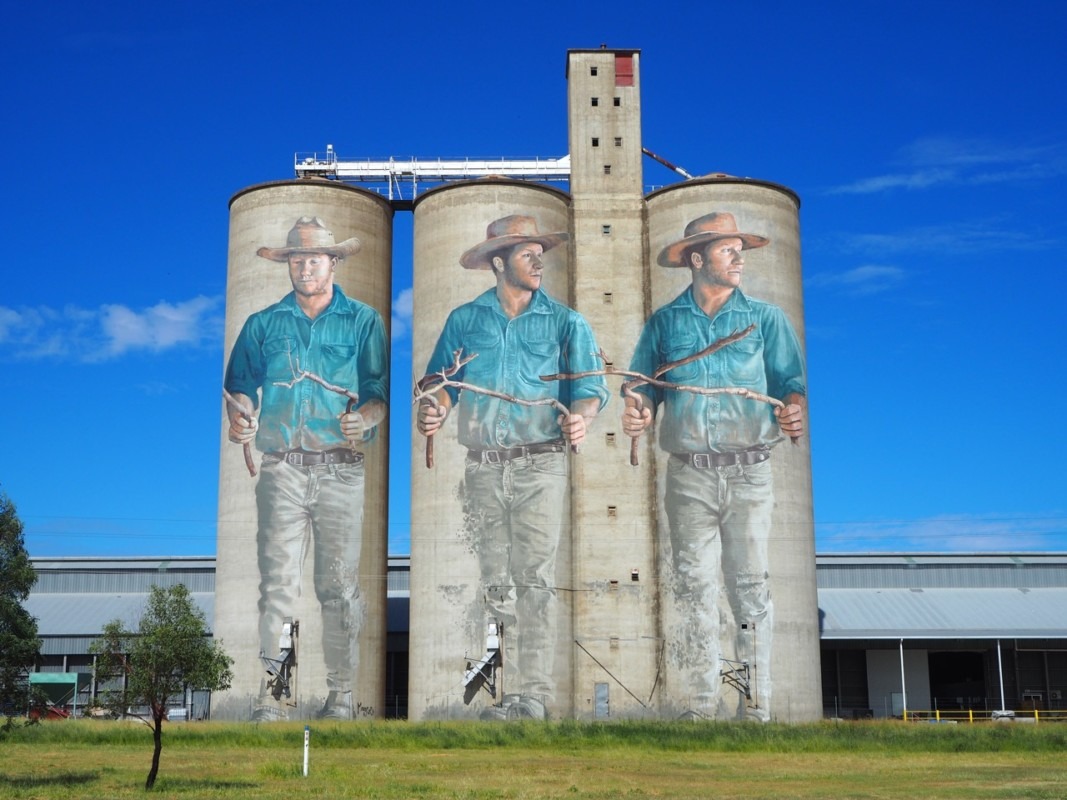 NSW Silo Art Road Trip Itinerary: How and Where to See Them All