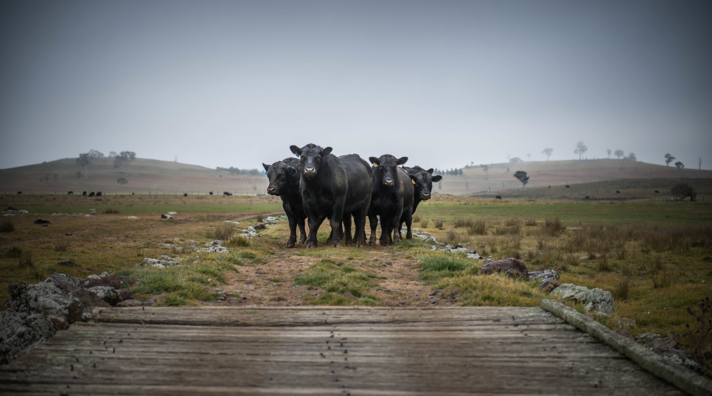 Guyra NSW: A guide to New England’s highest town